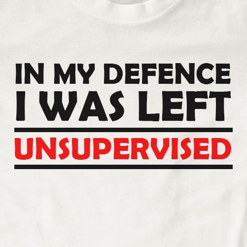 In My Defence I Was Left Unsupervised T-Shirt - Vertex Graphics